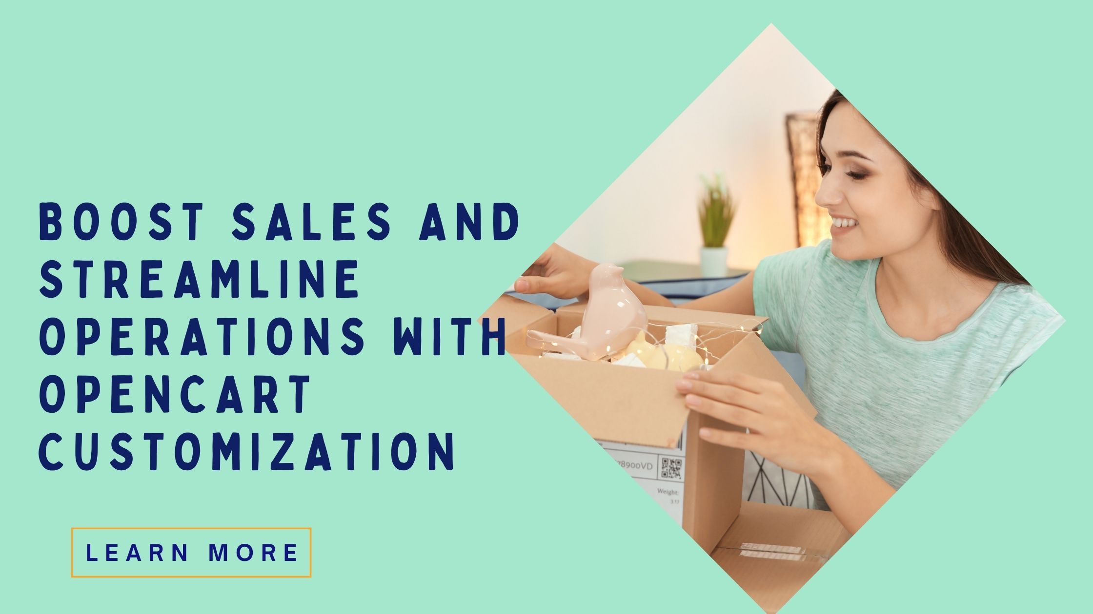 OpenCart Customization to Optimize Your eCommerce Store